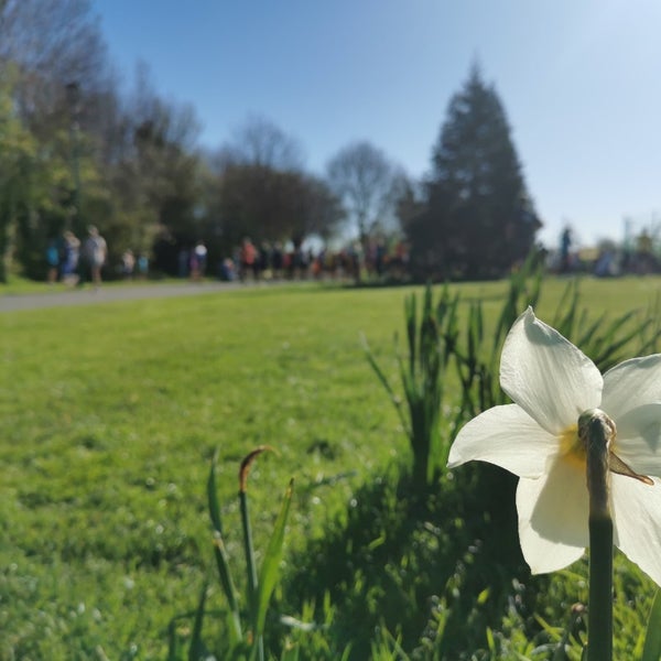 Shanganagh Park - Park