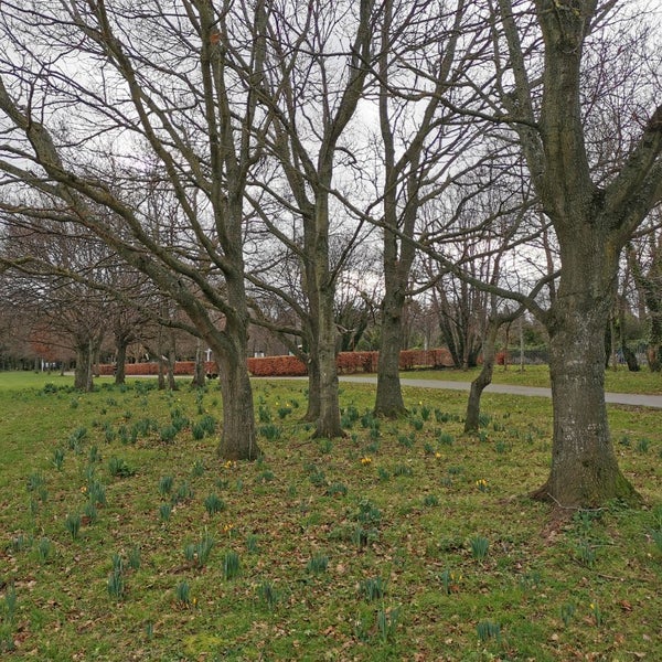Shanganagh Park - Park