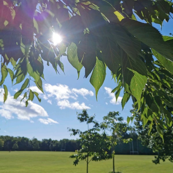 Shanganagh Park - Park