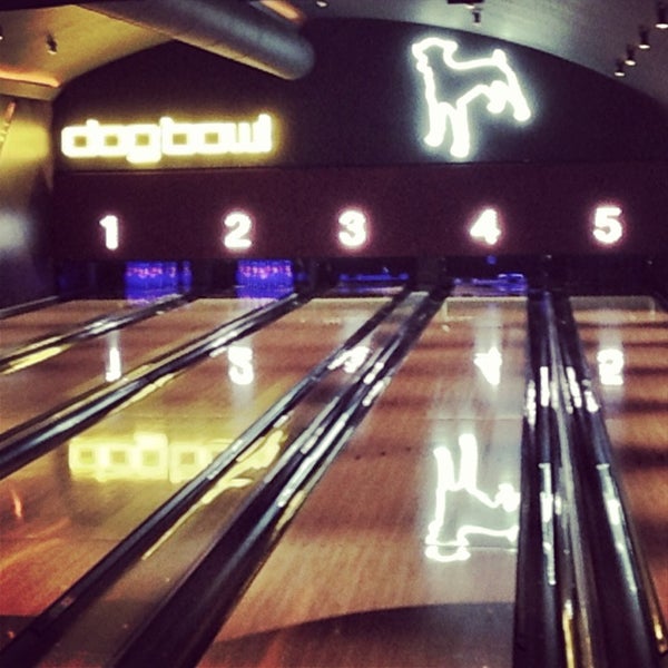 Dog Bowl - City Centre - 11 tips from 4 visitors