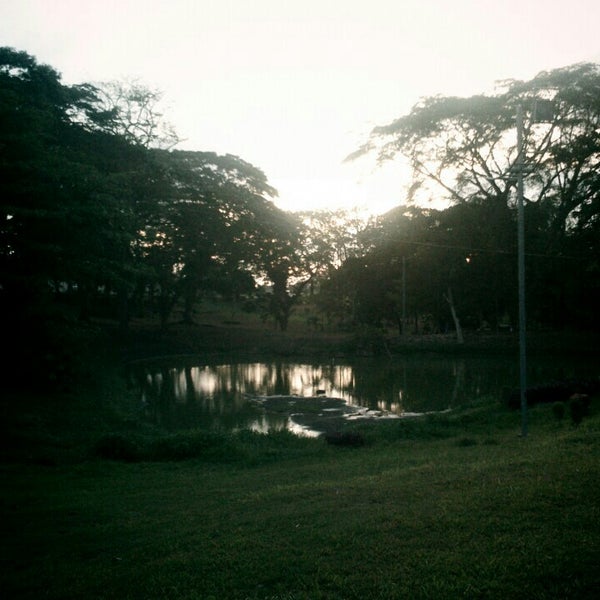 Photos at Palmiste Park - Park in Palmiste