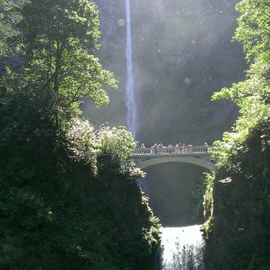 Multnomah Falls - 185 tips from 21377 visitors