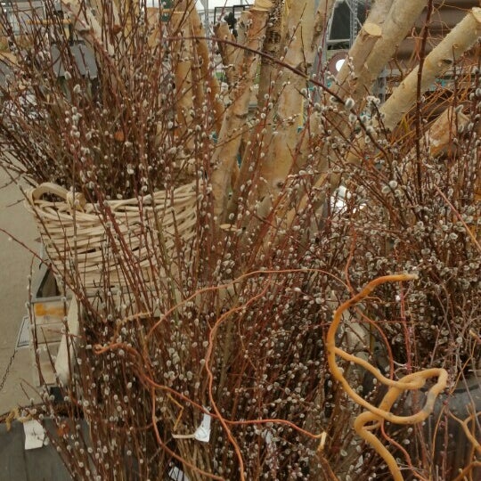 Spruce It Up Garden Centre - Garden Center in Calgary