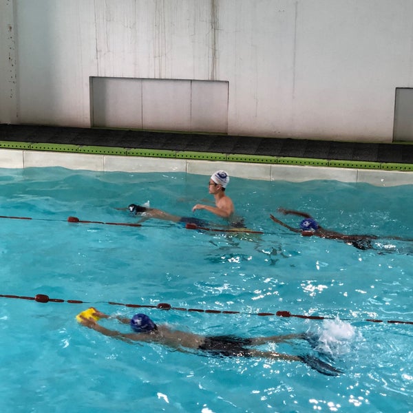 optimum train swimming center bukit tinggi - 2 tips