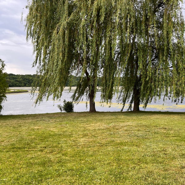 Parcul Dendrologic Chitila - Park