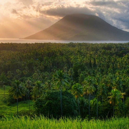 Taman Nasional Bogani Nani Wartabone - Gorontalo