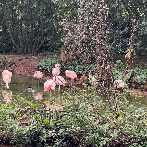 Bird Gardens Scotland Cic - Oxton