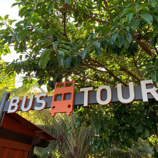 Zoo Bus Tour - Tour Provider in San Diego