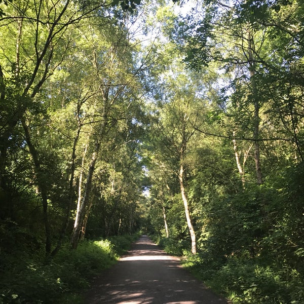 The Derwent Walk Country Park - Winlaton Mill
