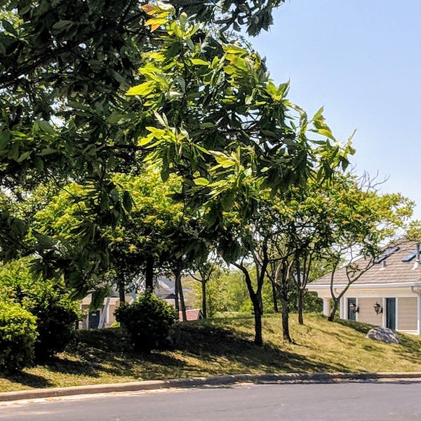 Green Garden Country Club - Golf Course in Frankfort