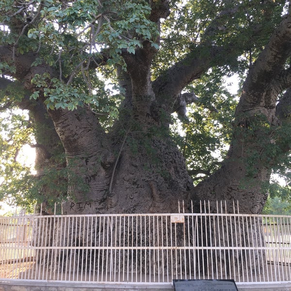 Qutub Shahi Tombs - 6 tips from 337 visitors