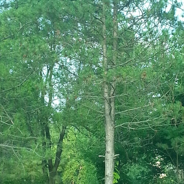 Scripter Park - Oxford, MI