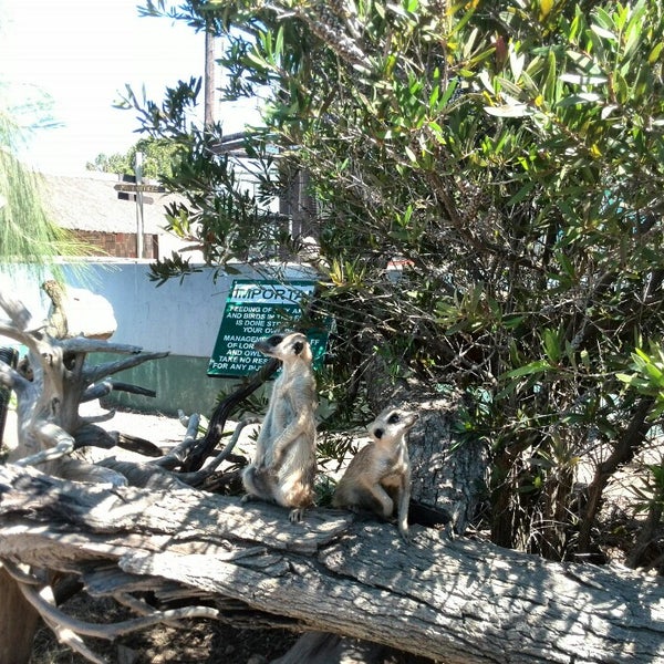 Lory Park - Park in President Park