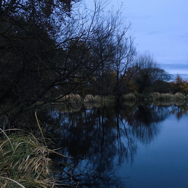 Bookham Railway Station (BKA) - 3 tips from 111 visitors