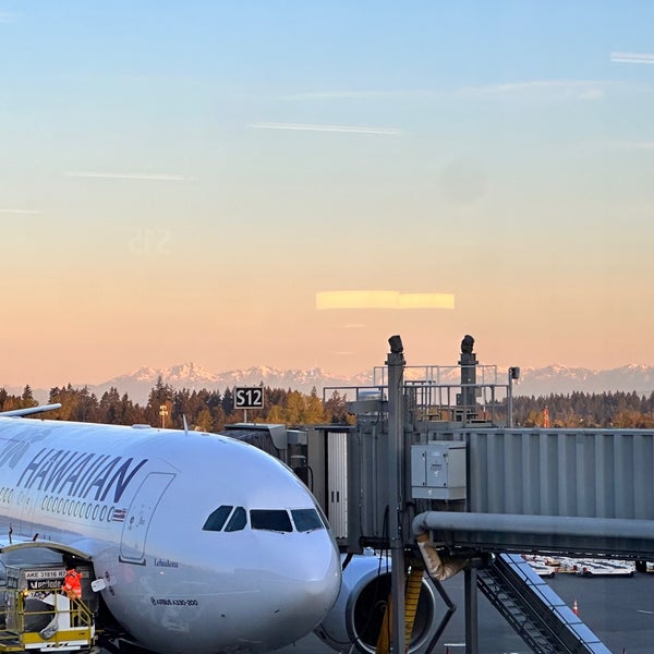 Gate S12 - Airport Gate