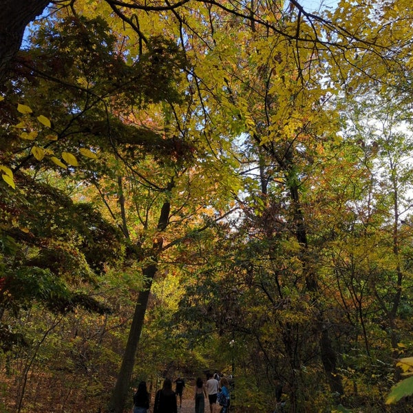 Photos at The Ramble - Central Park - New York, NY