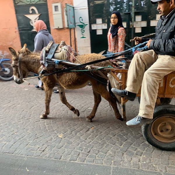 Poste du Maroc (Marrakech Medina) - Comic Book Store