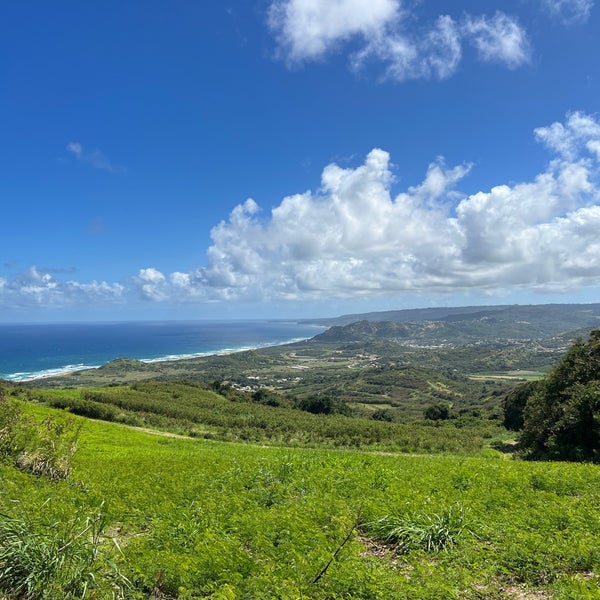 Cherry Tree Hill - Scenic Lookout in Morgan Lewis