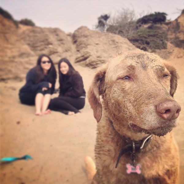 Photos at Fort Funston - Park in Lakeshore