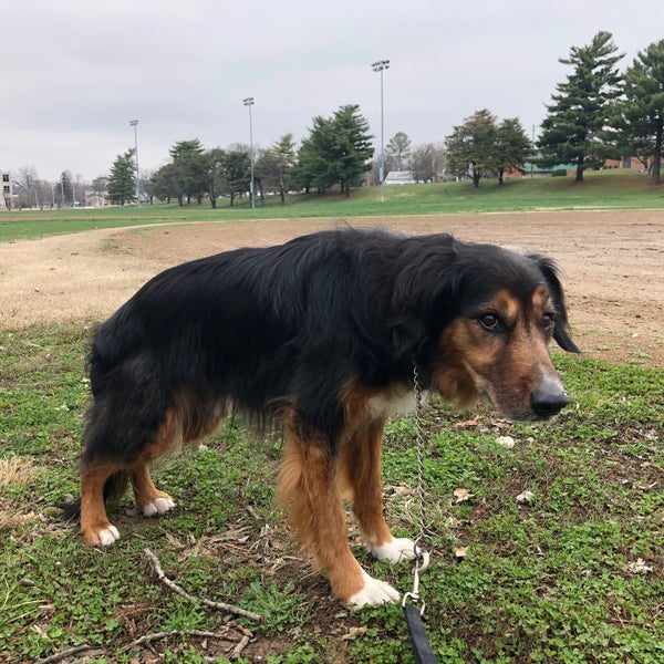 Heman Park - Park in Saint Louis