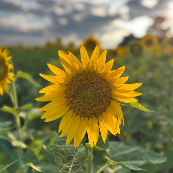 Columbia Bottom Conservation Area - 5 tips