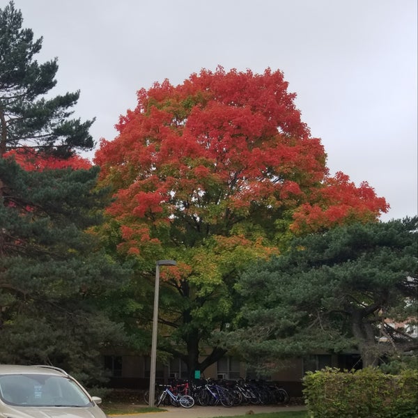 Wilson Hall - Michigan State University - East Lansing, MI