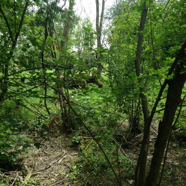 Moose Exhibit - 192 visitors