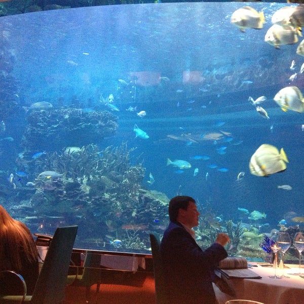 Burj Al Arab Underwater Restaurant Menu