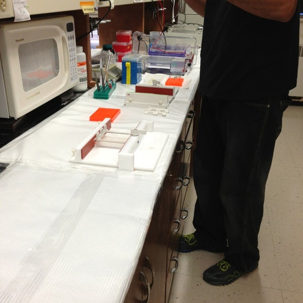 Photos at Birge Hall - College Science Building in Madison