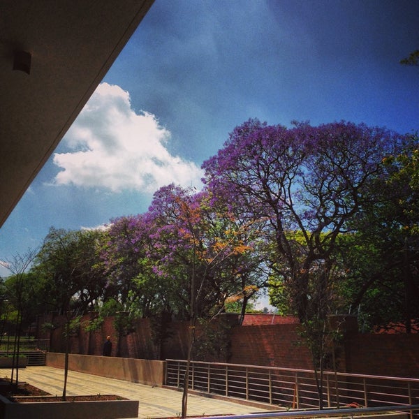 Cheil Worldwide SA - Bryanston, Johannesburg