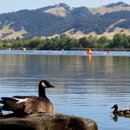 Spring Lake Park - Park in Santa Rosa