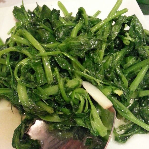 Hunan Kitchen Of Grand Sichuan - Flushing, NY