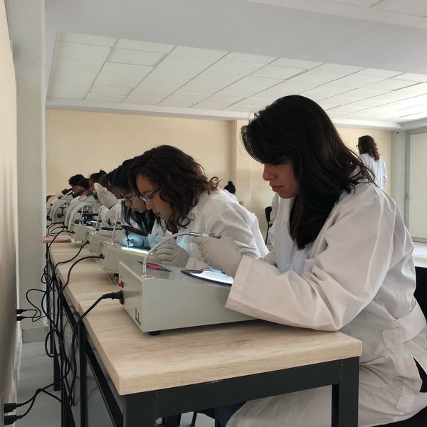 Universidad Politecnica Metropolitana de Puebla - University