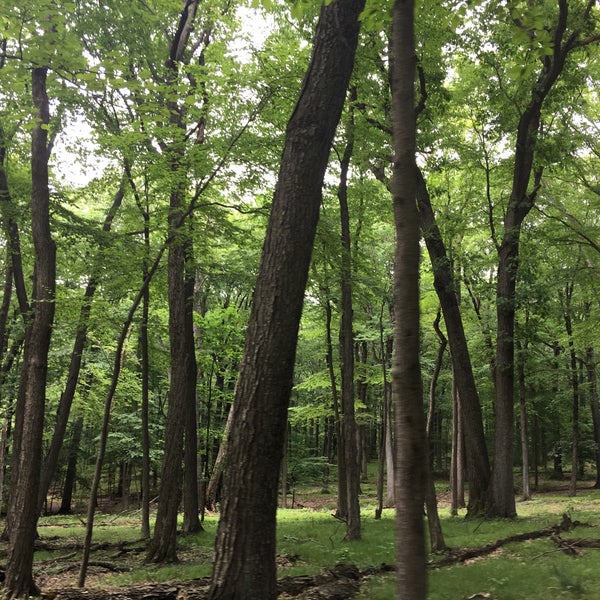 Jockey Hollow - Park in Mendham Township