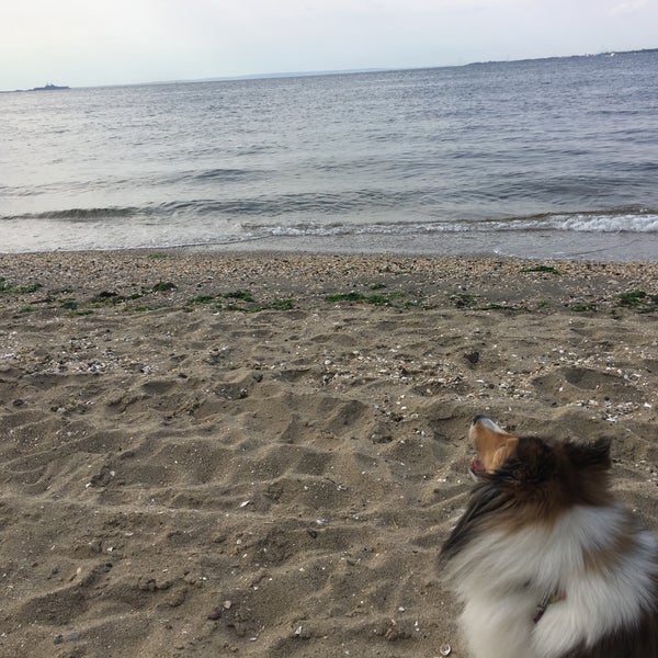 Popamora Point (Henry Hudson Trail) - Atlantic Highlands, NJ