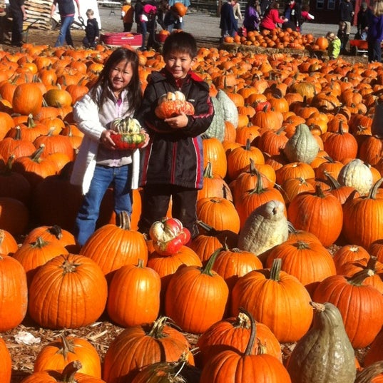 Silverman's Apple Farm - Farm in Easton