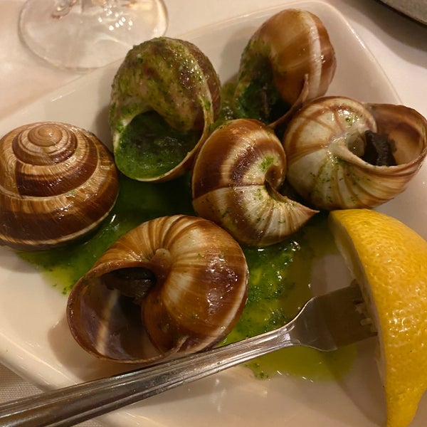 Silver Birch - 4 tips