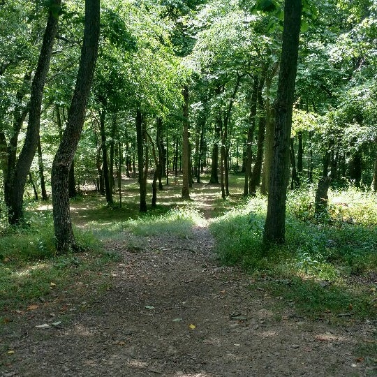 Deer Lakes Park Disc Golf Course - Cattail Dr