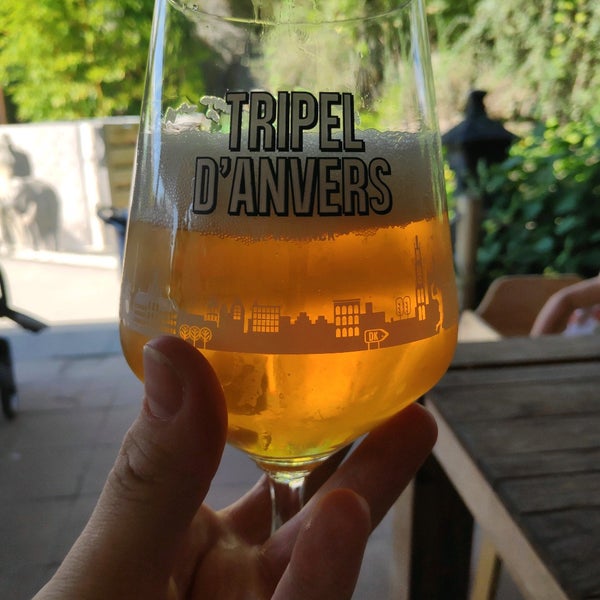 Toepaja - Muizen - 13 tips