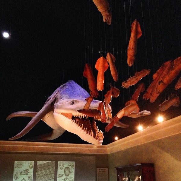 Photos at Mayborn Museum Complex - Baylor University - 15 tips