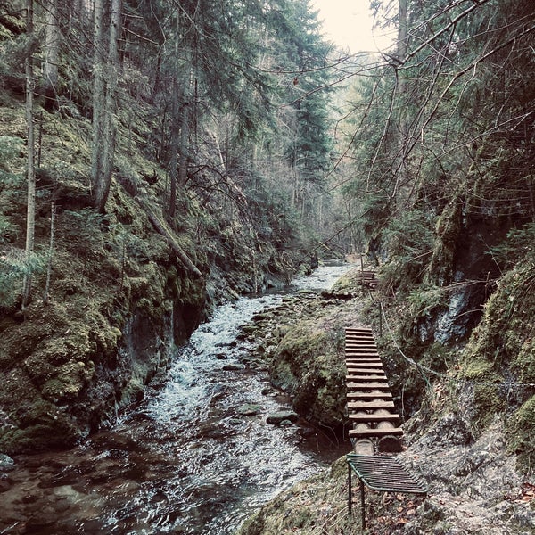 Slovenský raj - 8 tips from 565 visitors