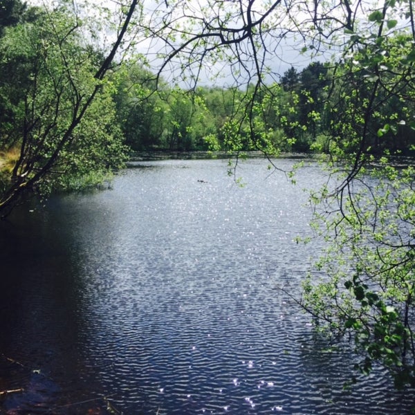 Yateley Common - Yateley, Hampshire