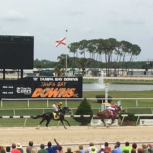 Photos at Tampa Bay Downs - Race Track