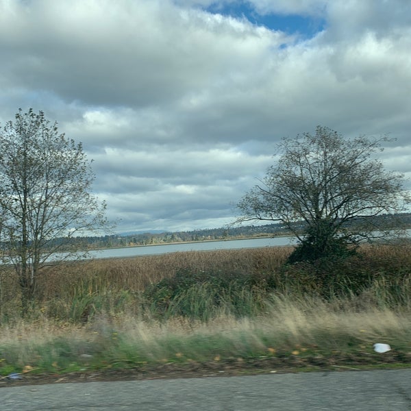 Photos at Poop Lake - Beach in Everett