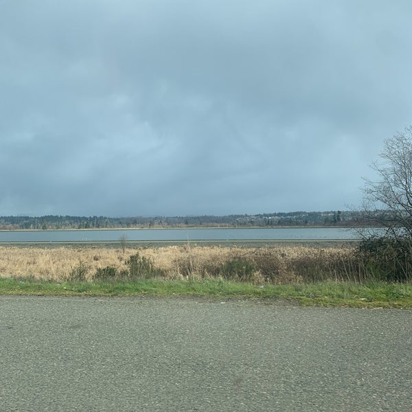 Photos at Poop Lake - Beach in Everett