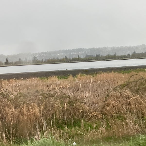 Photos at Poop Lake - Beach in Everett