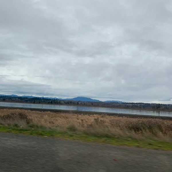 Photos at Poop Lake - Beach in Everett