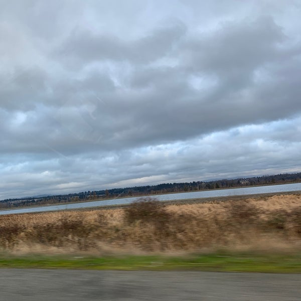 Photos at Poop Lake - Beach in Everett