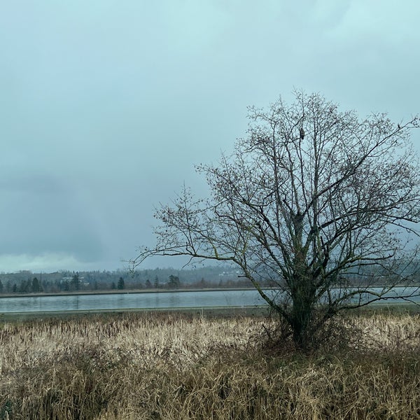 Poop Lake - Beach in Everett