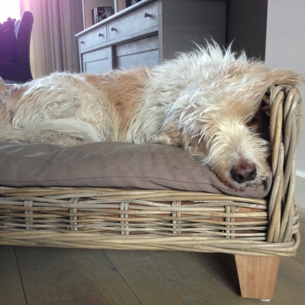 Fredjes Seahouse - Knokke-Heist, West-Vlaanderen